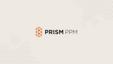 Project Portfolio Management Software - Prism PPM