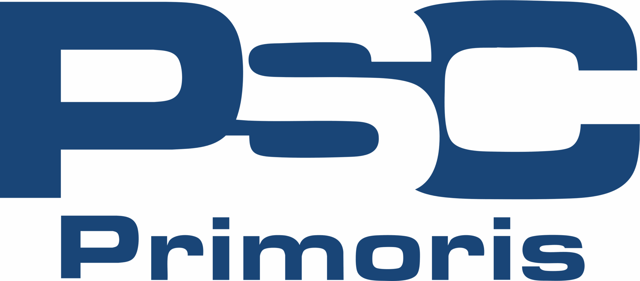 Project Portfolio Management Software - Prism PPM